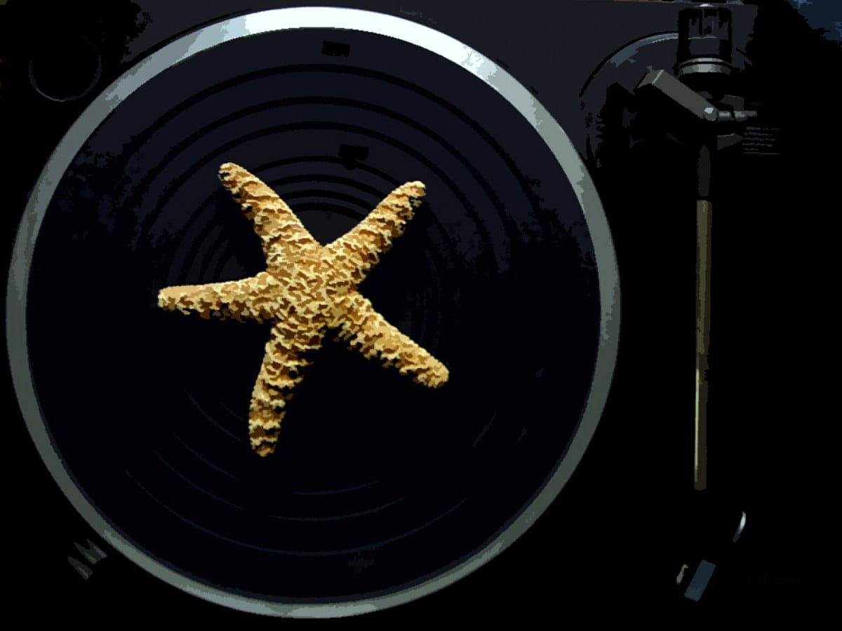 380+ Tapety na pulpit HD - Muzyka |Za darmo