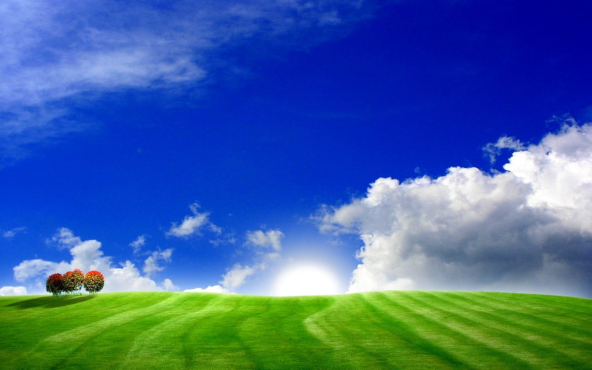 Tapeta na komputer Windows Vista, Przyroda, Zielone | Najlepsze Darmowe ...