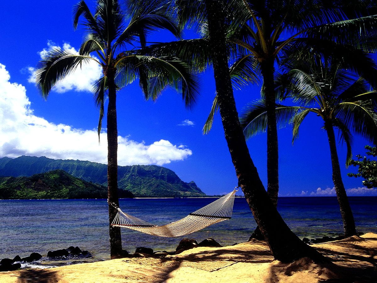 50+ Tapety na pulpit - Hawaje | Darmowe tapety