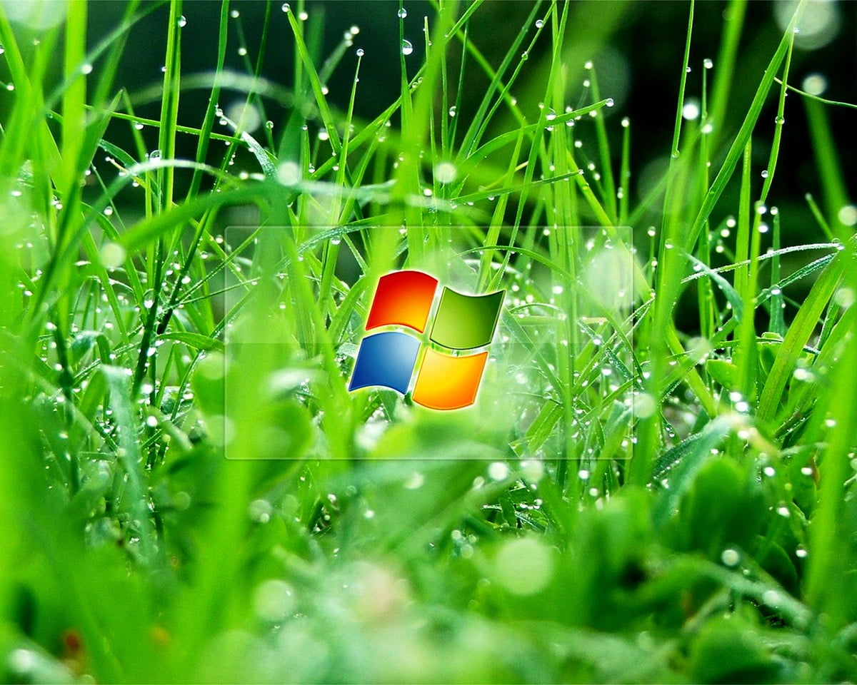 Tapeta na pulpit Windows Vista, Zielone, Napój Bezalkoholowy | Pobierz ...