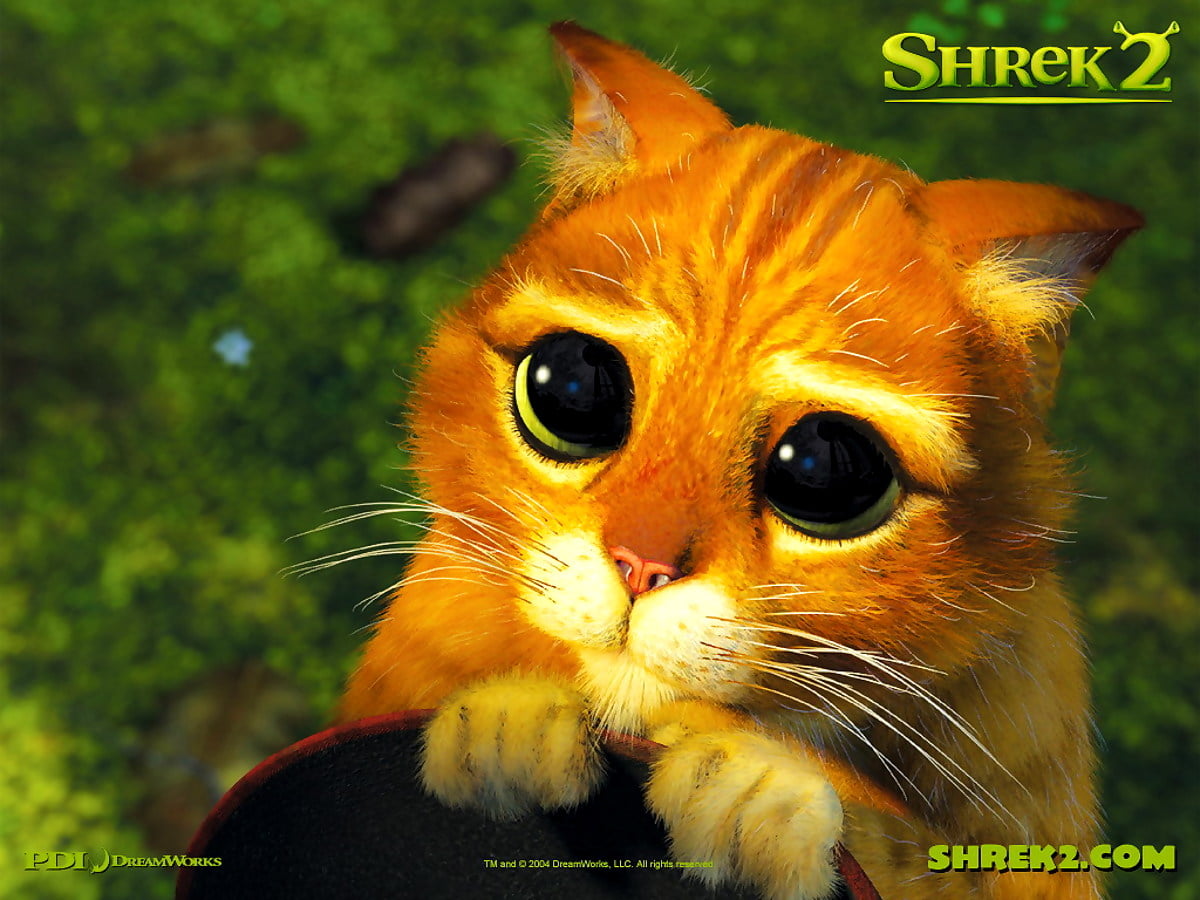 30+ Tapety na pulpit HD - Shrek | Za darmo