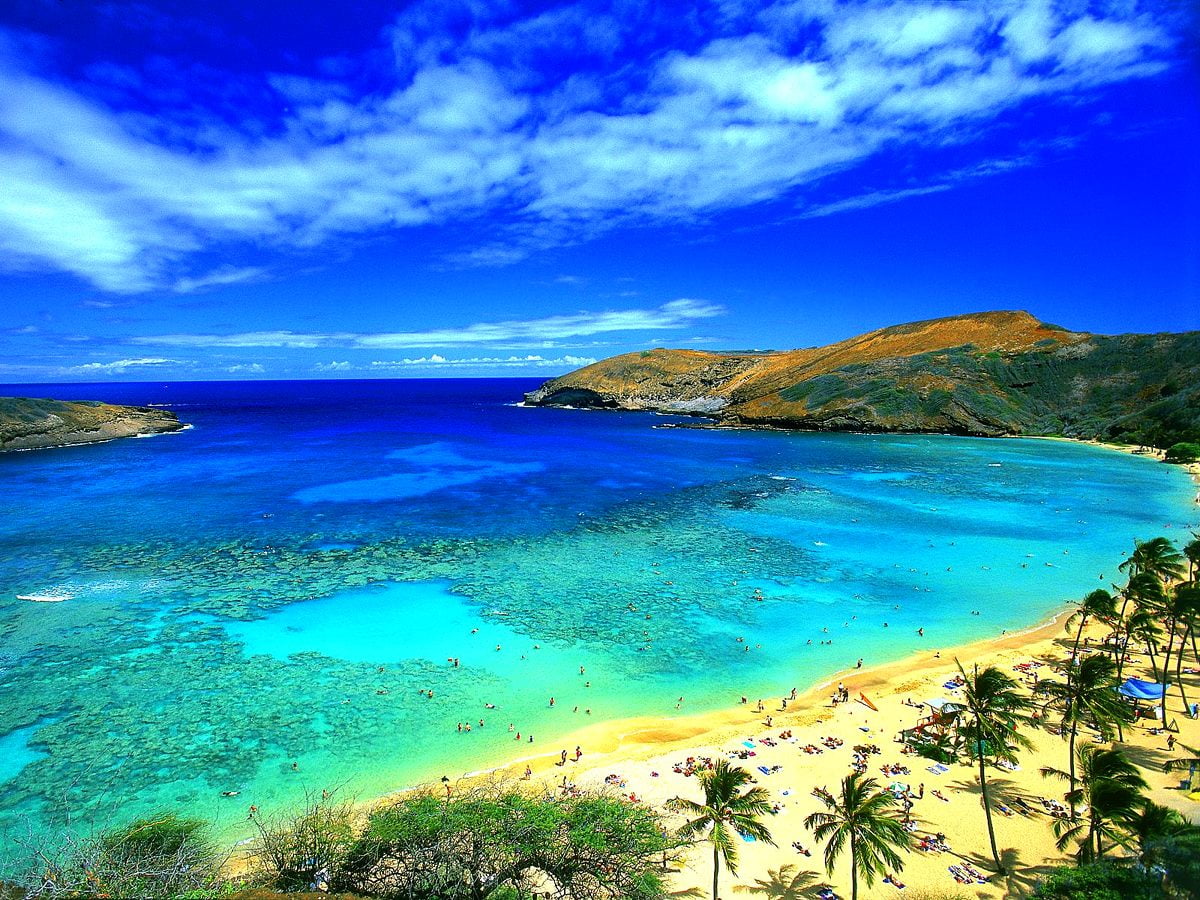 Tapeta na pulpit Hawaje, Hanauma Bay Nature Preserve, Honolulu | TOP ...