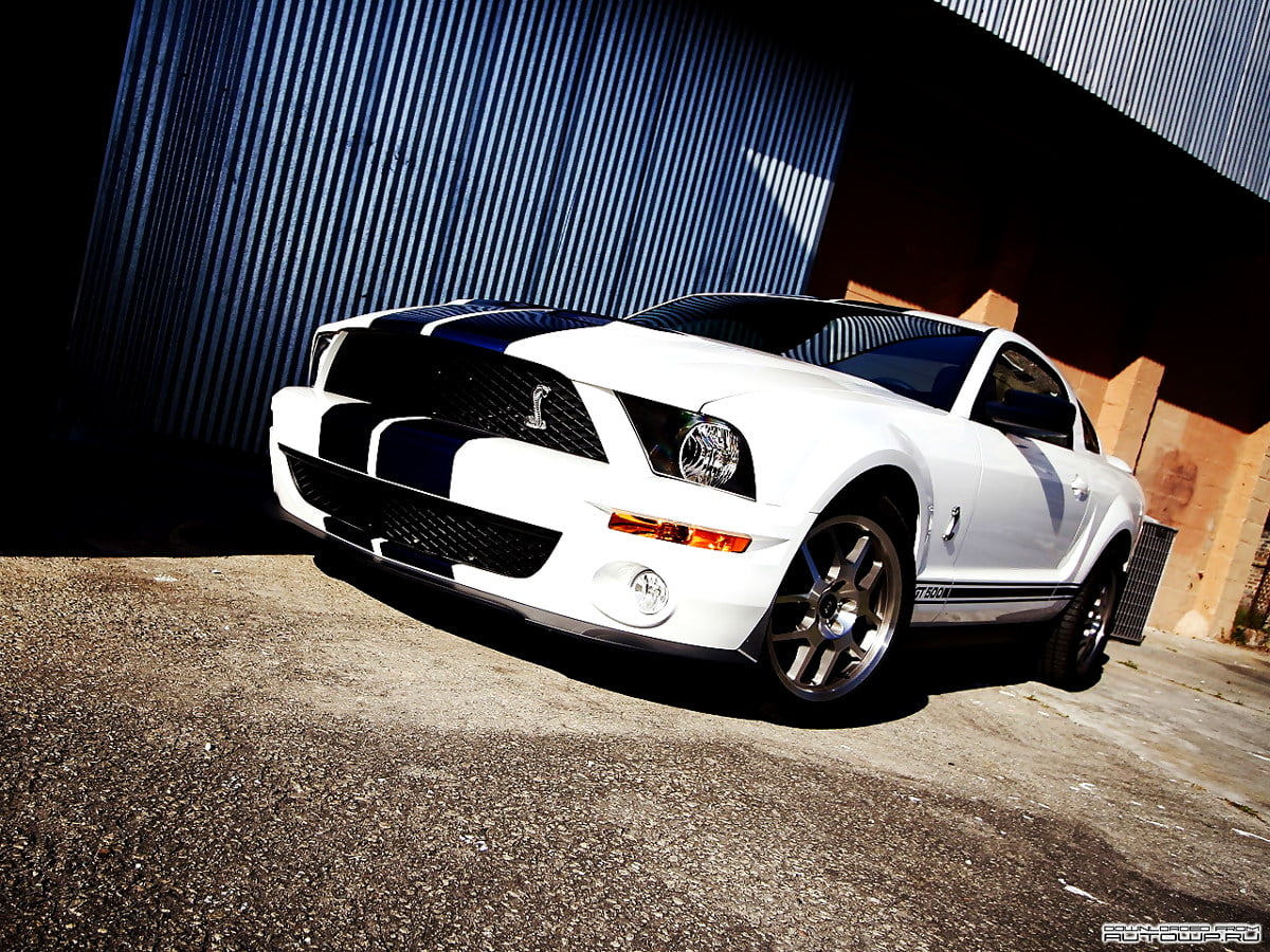 Fajna tapeta na pulpit Ford, Samochody, Shelby Mustang, | TOP Darmowe ...