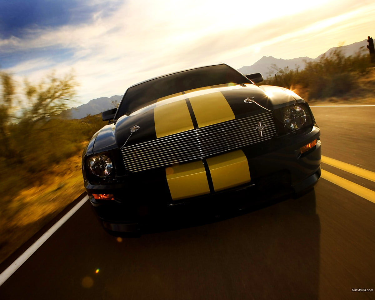 30+ Tapety na pulpit - Shelby Mustang 🔥 Darmowe tapety